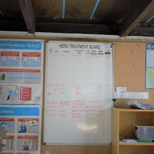 Planning & Recording Whiteboards - Whiteboards NZ